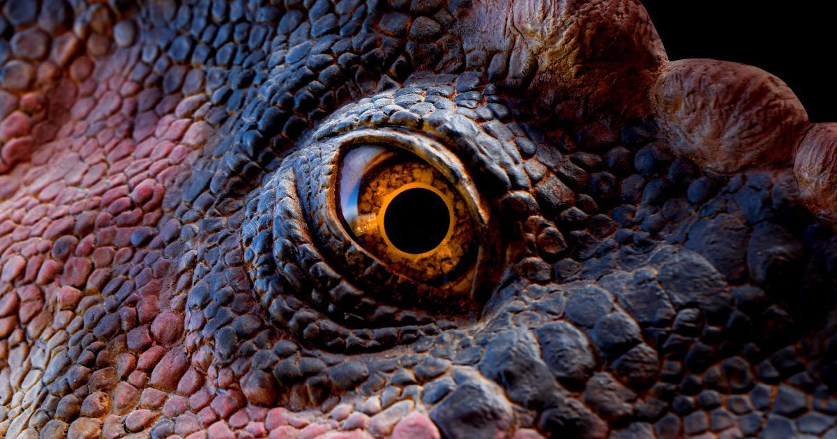 Explore Dinosaur Exhibits in NJ at the Edelman Fossil Park & Museum